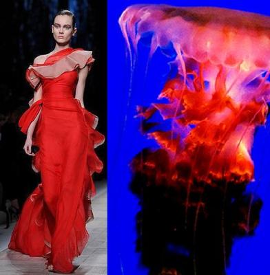 Jellyfish, Beautiful Phlegm-Balls of the Sea | My OBT