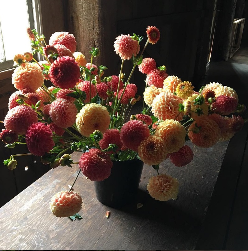 The Floral Life | My OBT