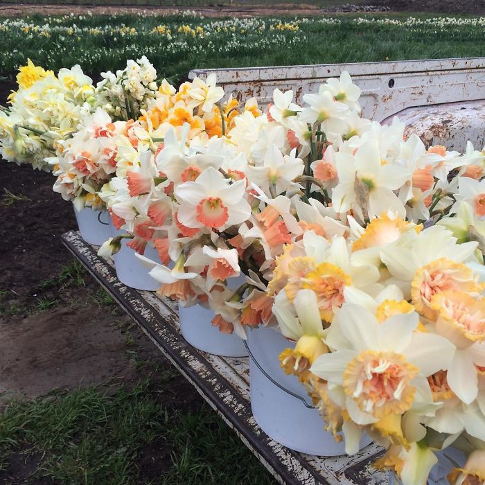 The Floral Life | My OBT