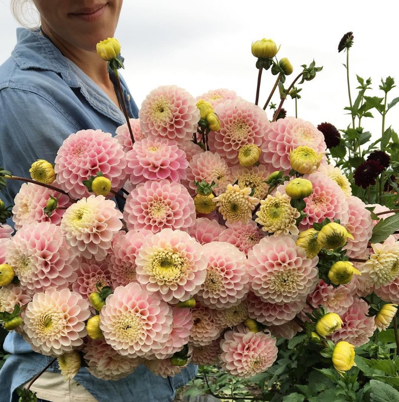 The Floral Life | My OBT