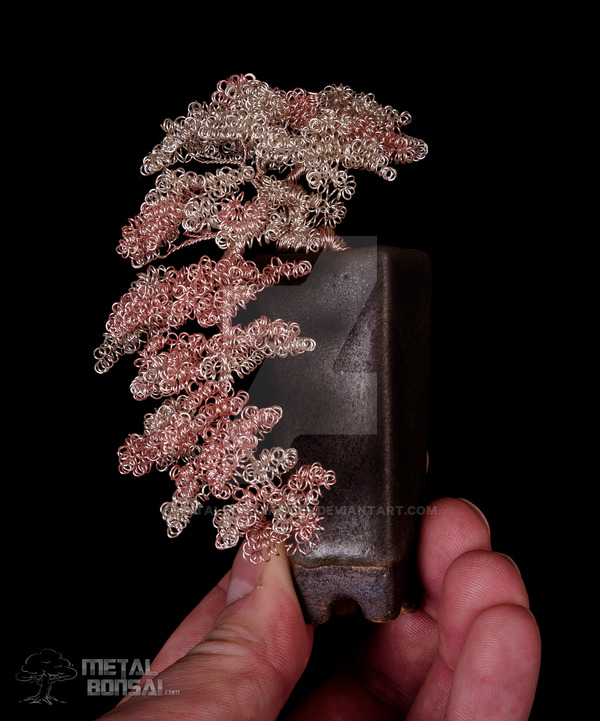 Evergreen (Or Pink, Or Yellow) | My OBT