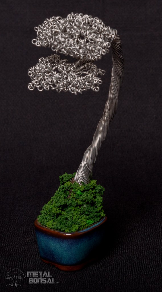 Evergreen (Or Pink, Or Yellow) | My OBT