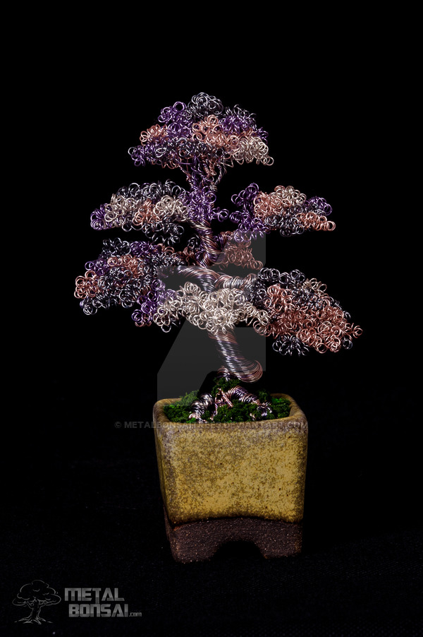 Evergreen (Or Pink, Or Yellow) | My OBT