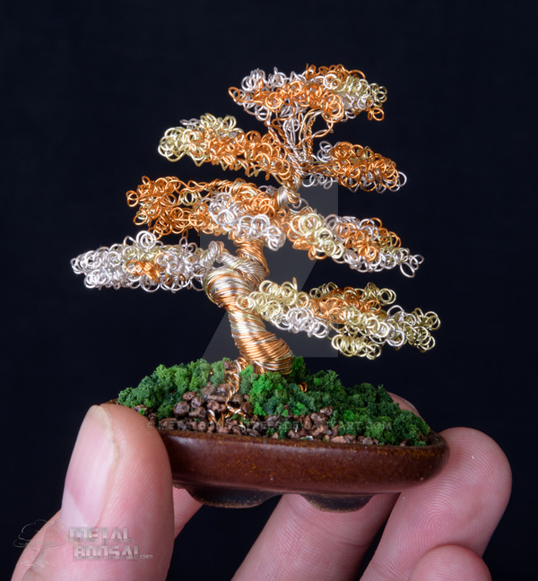 Evergreen (Or Pink, Or Yellow) | My OBT