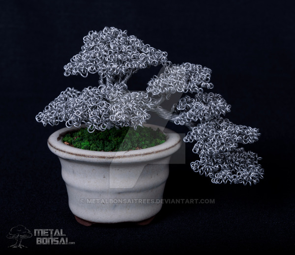 Evergreen (Or Pink, Or Yellow) | My OBT