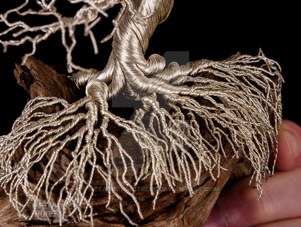 Evergreen (Or Pink, Or Yellow) | My OBT