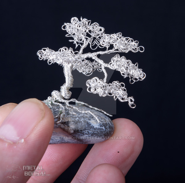 Evergreen (Or Pink, Or Yellow) | My OBT