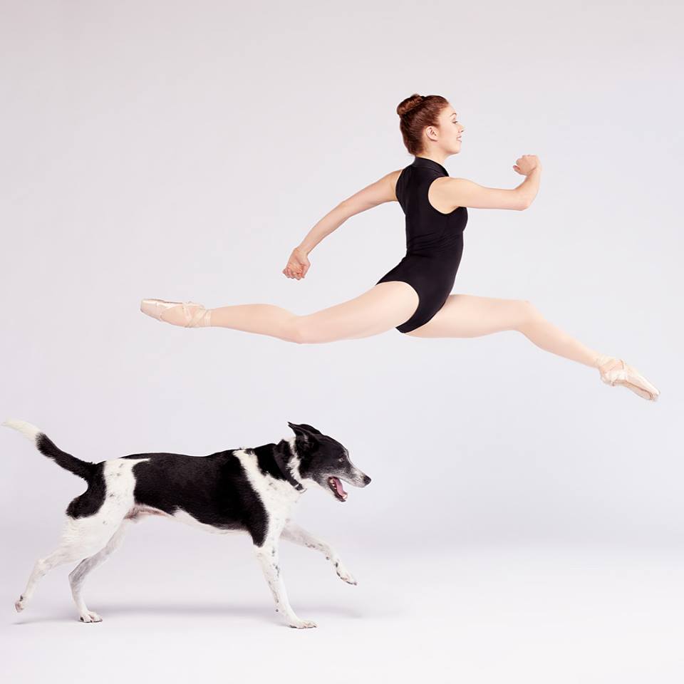 Dancers + Dogs | My OBT
