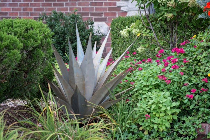 Kansas Cactus | My OBT