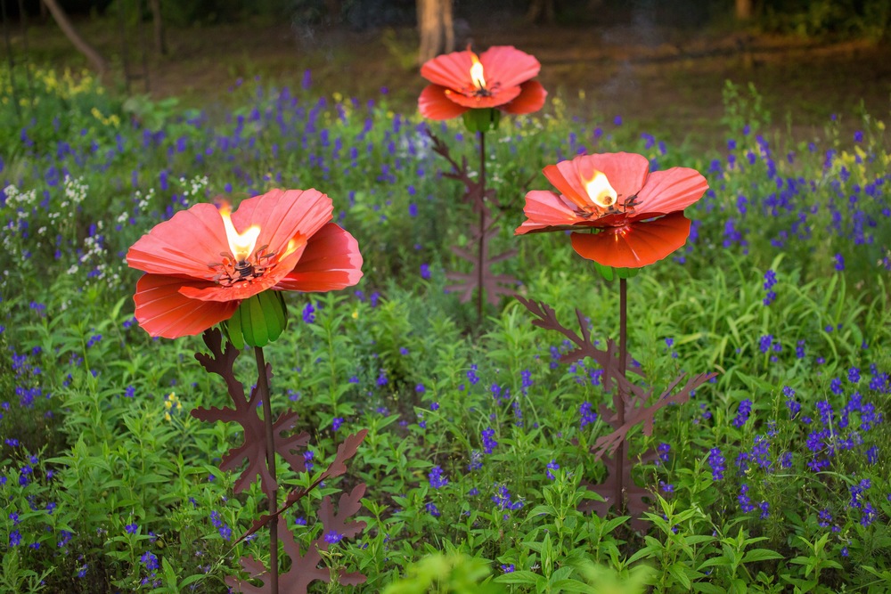 Kansas Cactus | My OBT