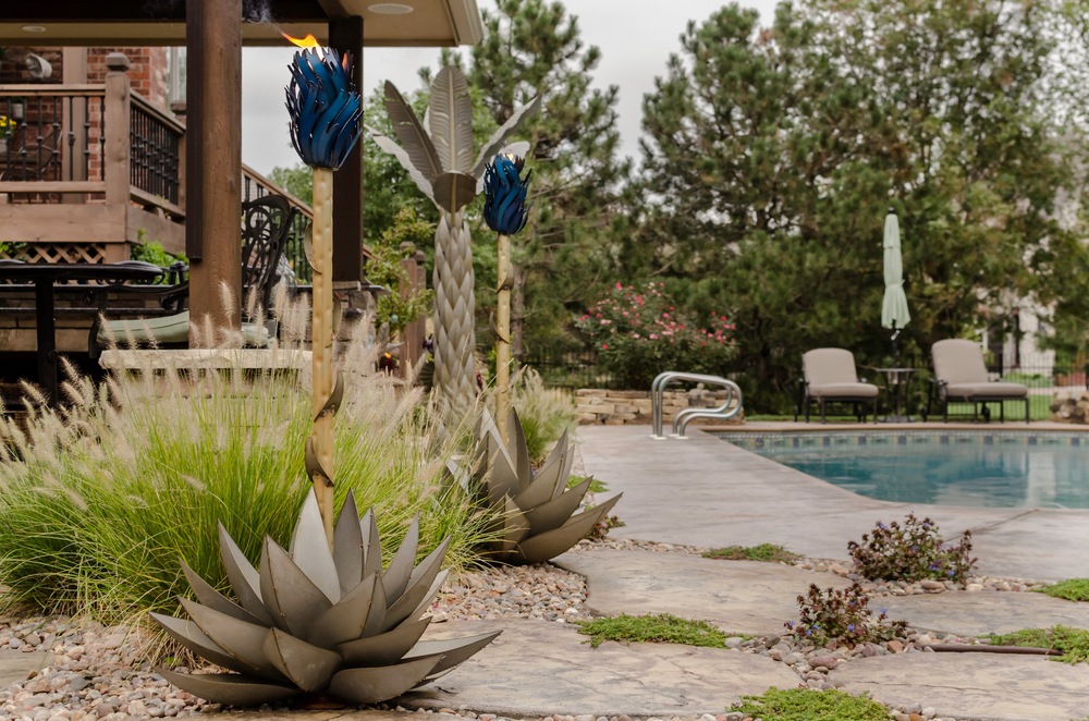 Kansas Cactus | My OBT