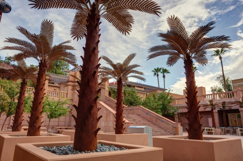 Kansas Cactus | My OBT