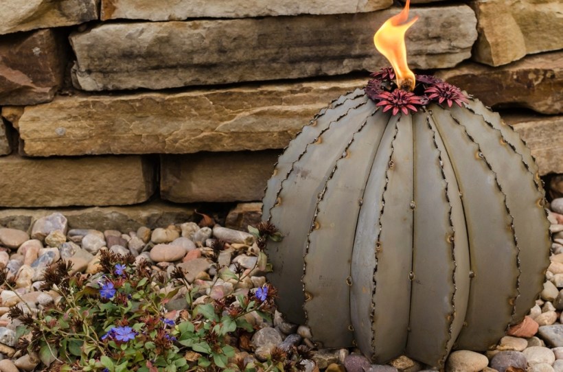 Kansas Cactus | My OBT