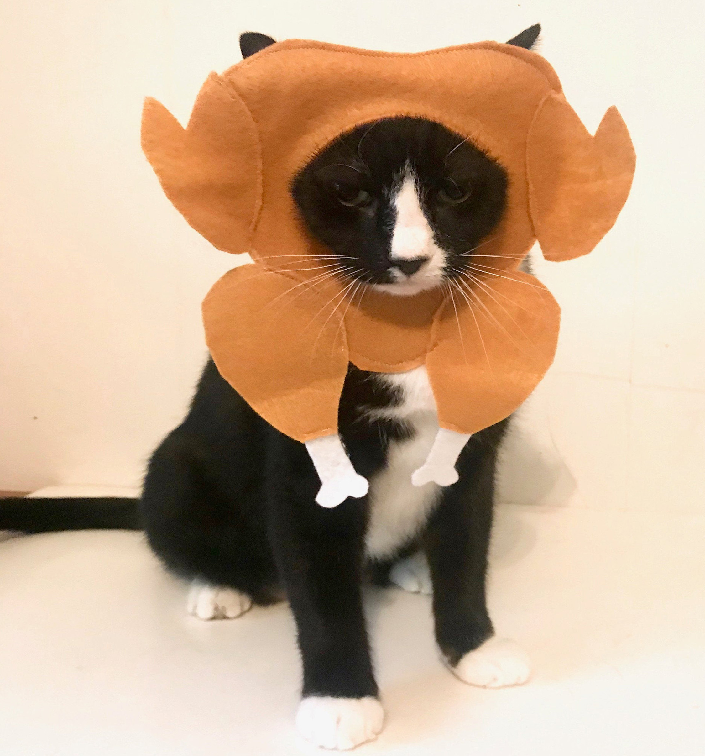 Etsomnia™ 247: Angry Birds | My OBT