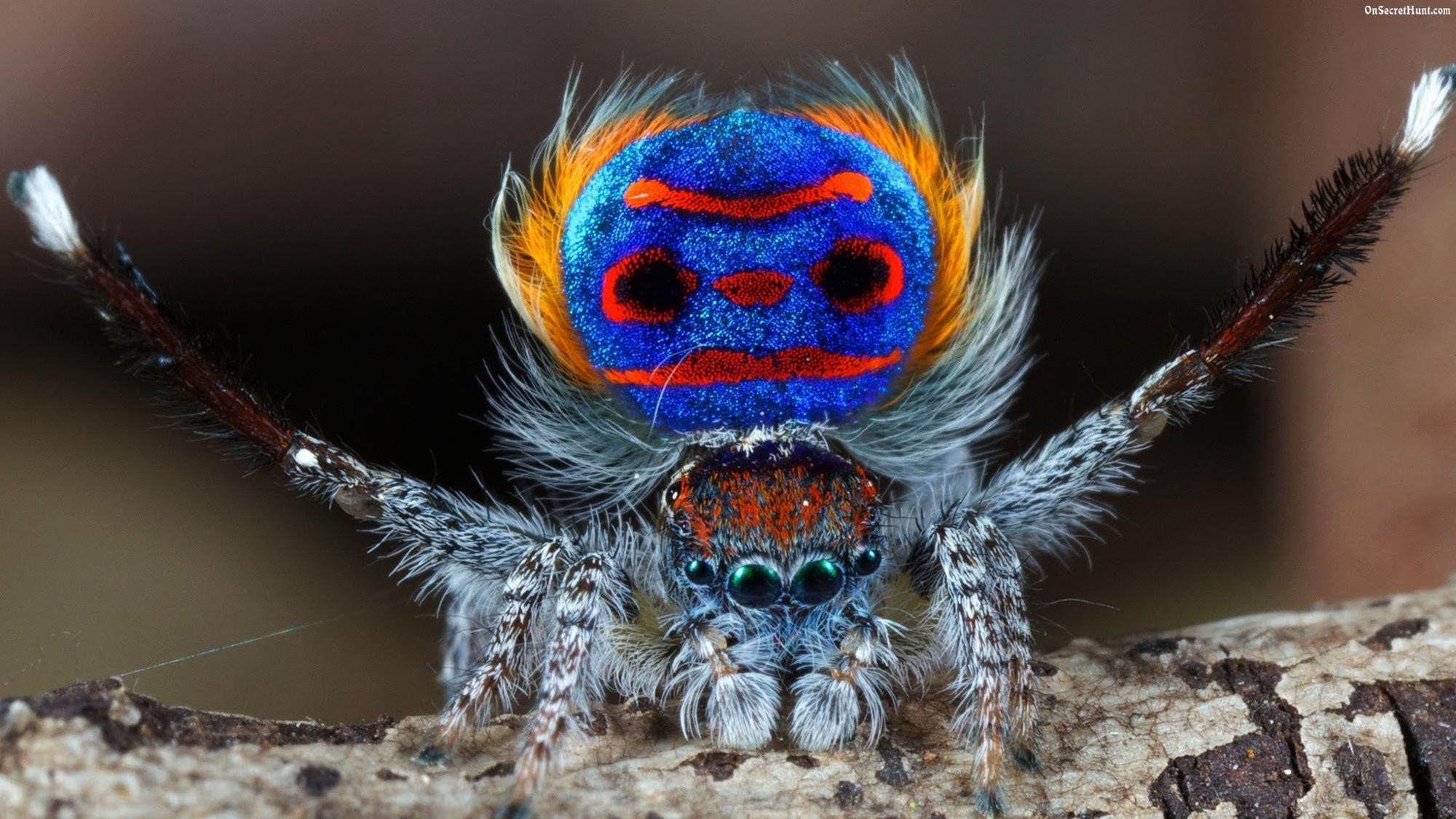 Tiny Dancer | My OBT