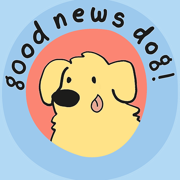 Good News Dog | My OBT