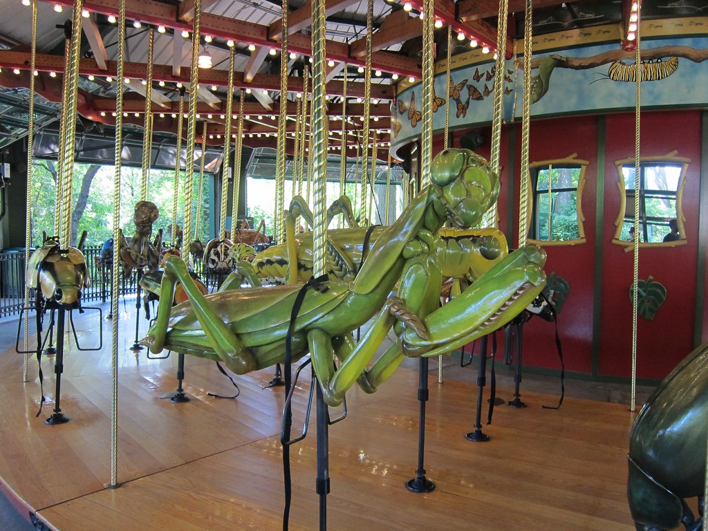 The Bug Carousel | My OBT
