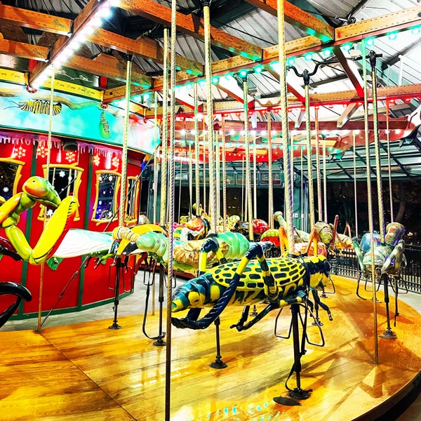 The Bug Carousel | My OBT