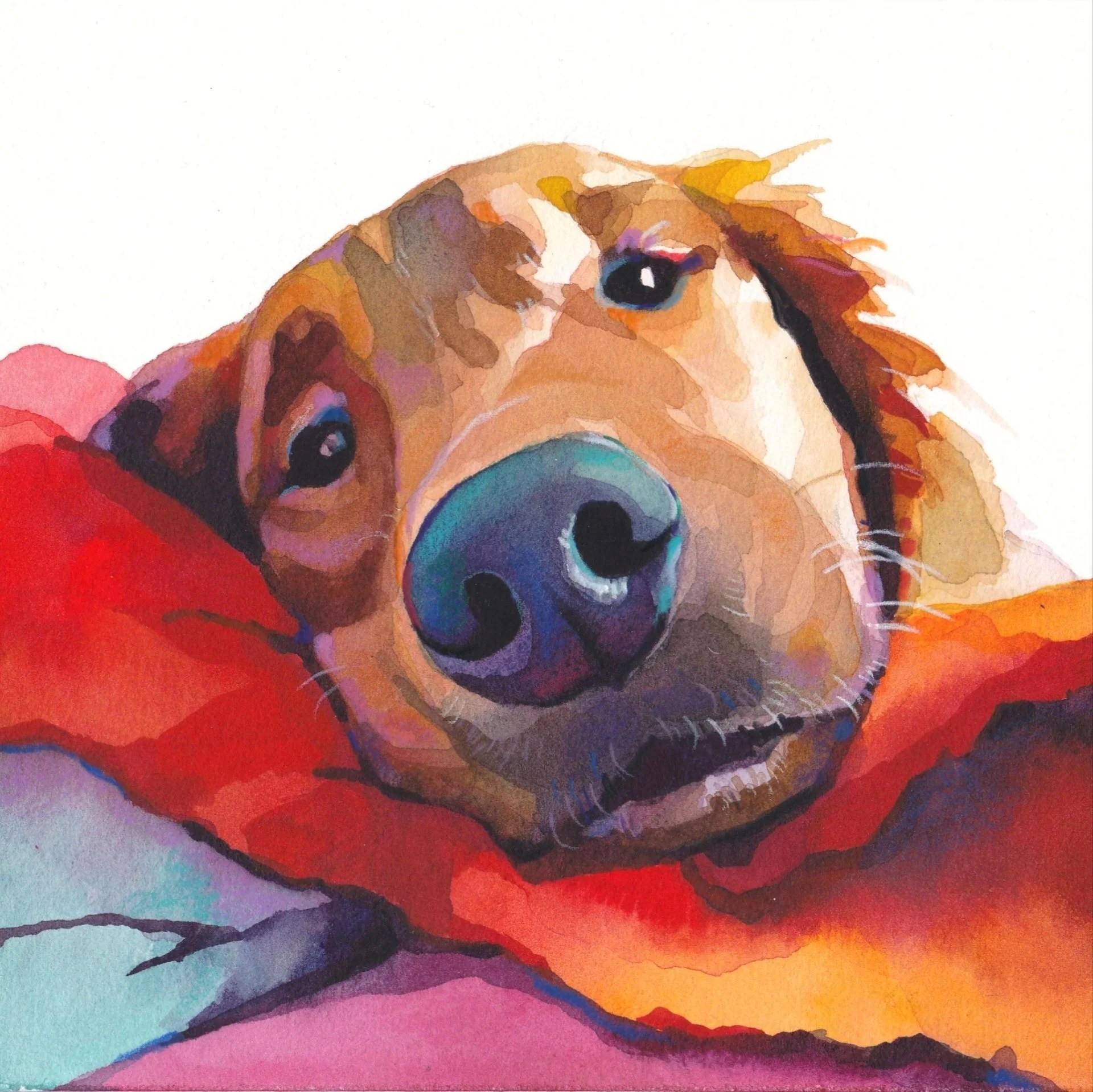 Doggo Drawings | My OBT