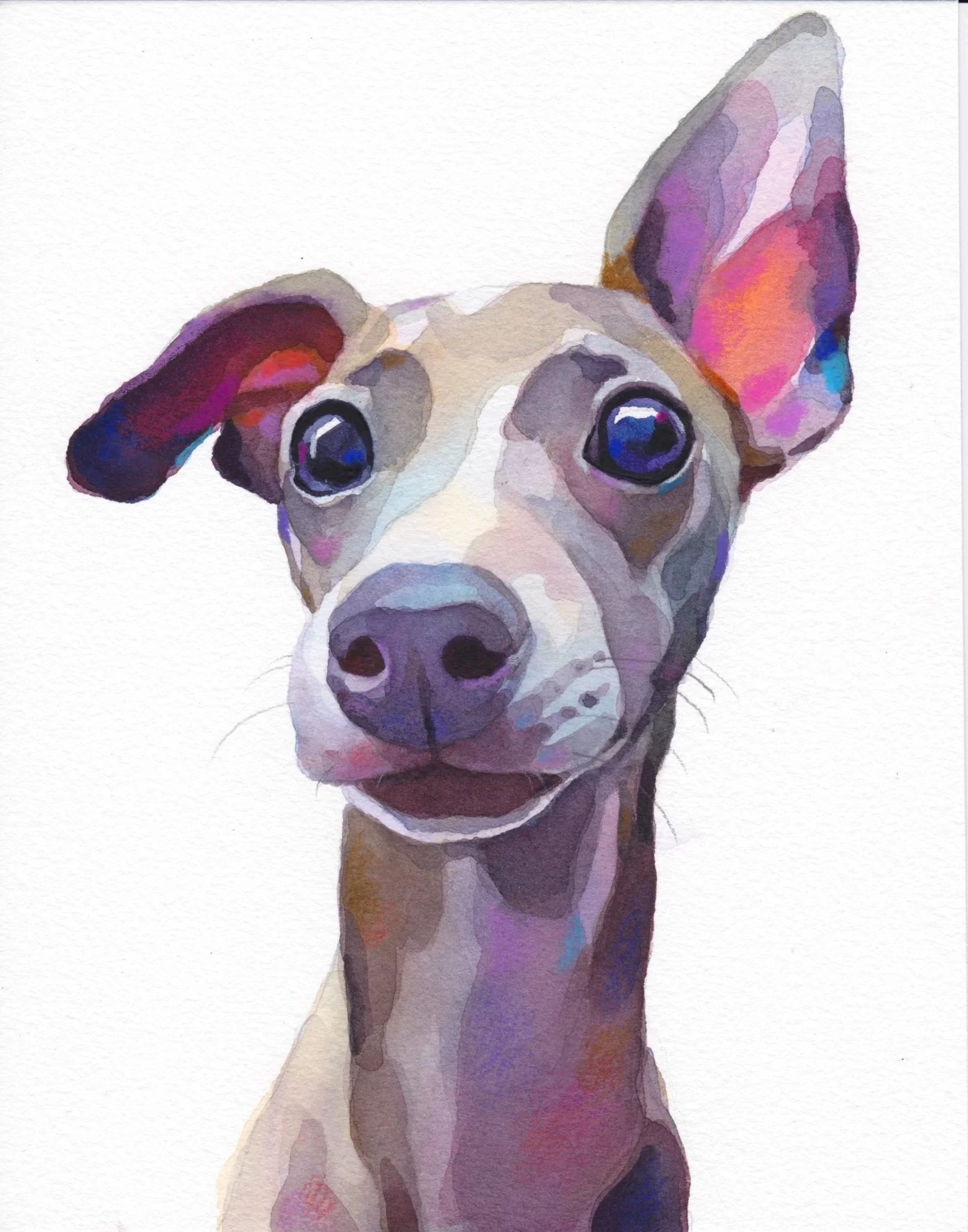 Doggo Drawings | My OBT