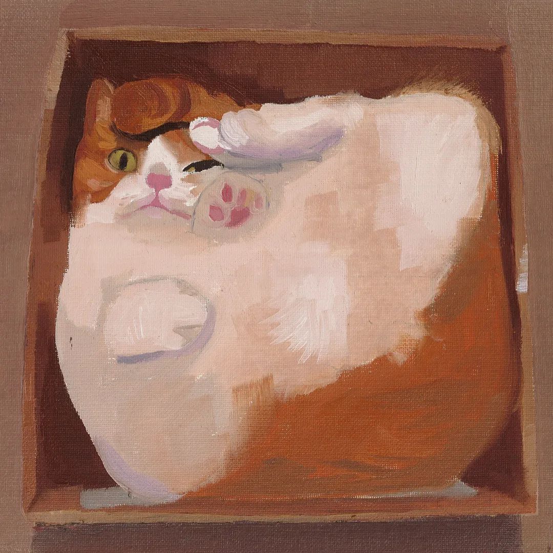 My OBT | What if you spent every day looking for One Beautiful Thing?