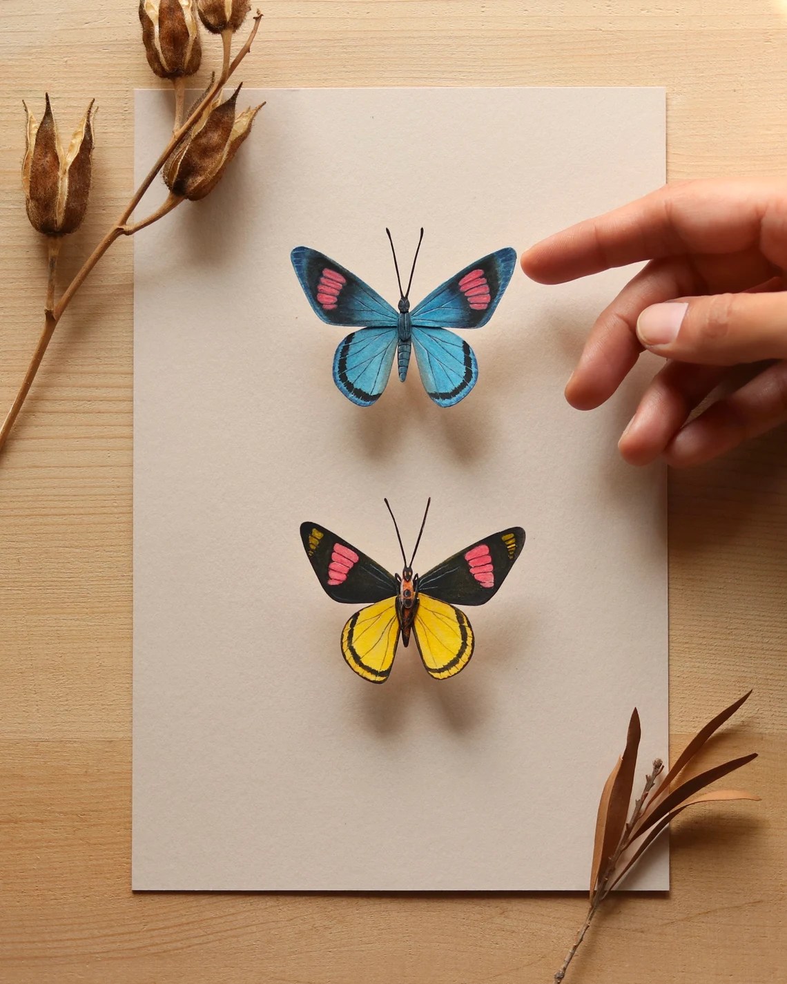 The Paper Ark | My OBT