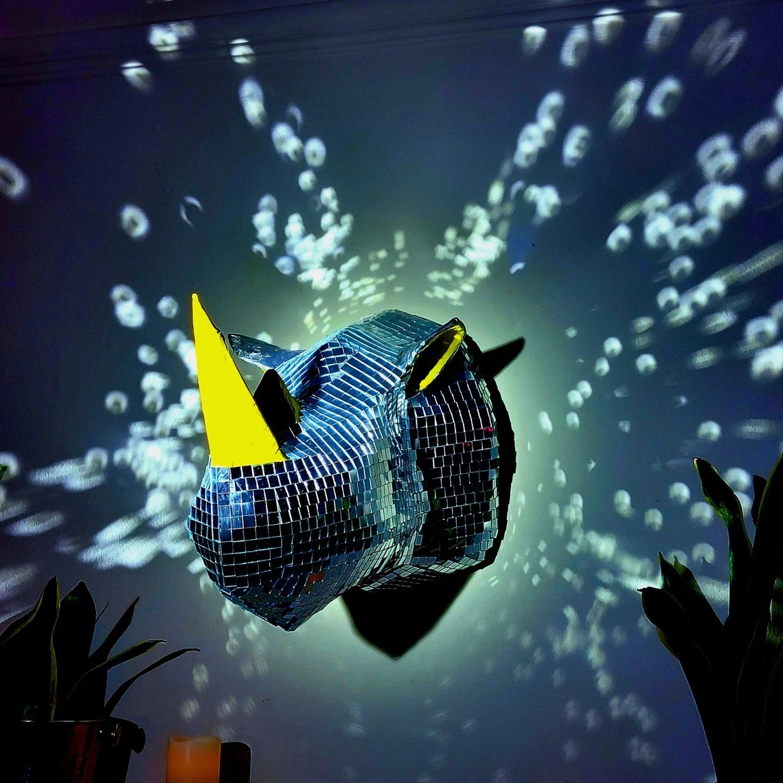 Disco Duck (et al) | My OBT