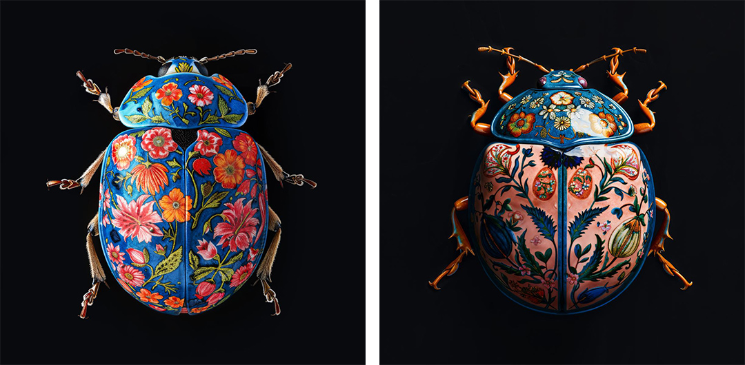 Virtual Moon | My OBT