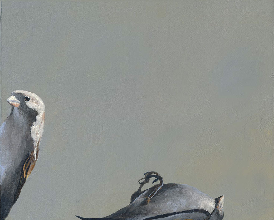 A Guide to Troubled Birds | My OBT