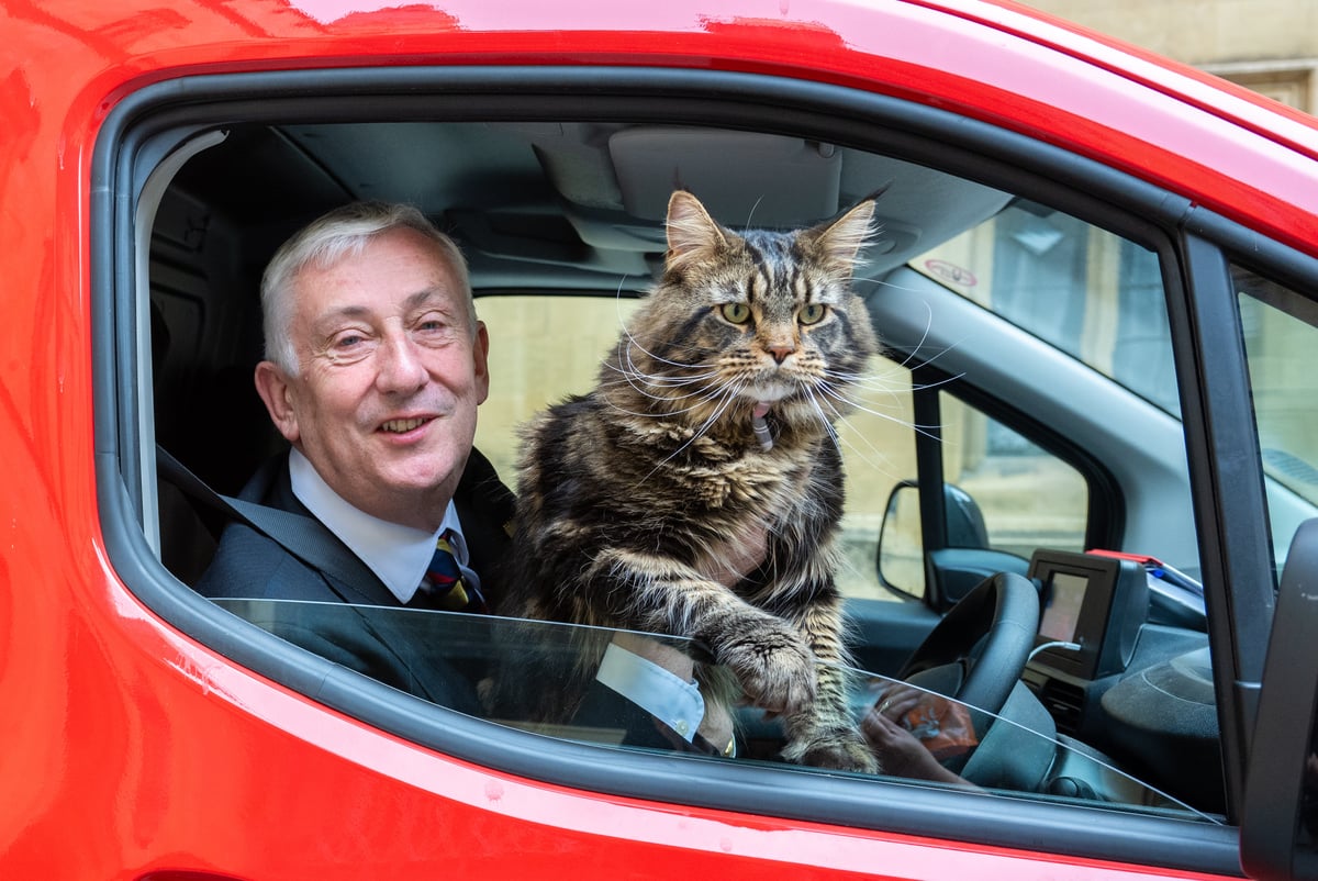The U.K. Purr Minister | My OBT